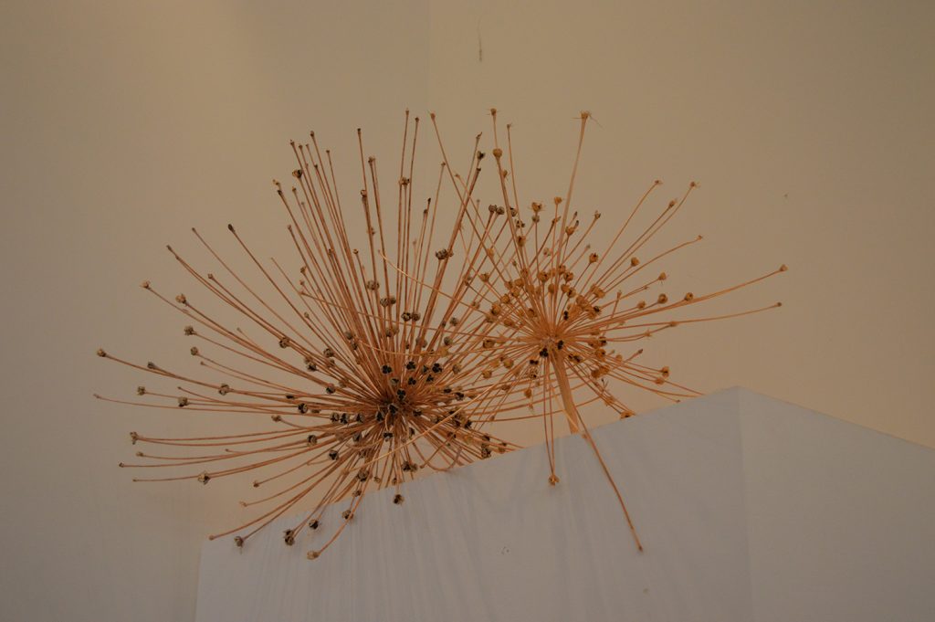 studio – Jan Smith